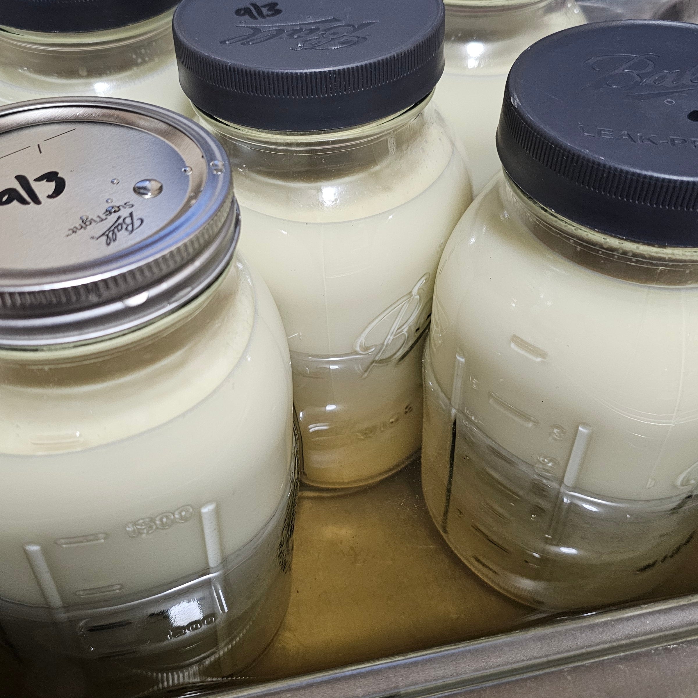 Flex Milk Membership 1/2 Gallon | Gardendwellers LLC